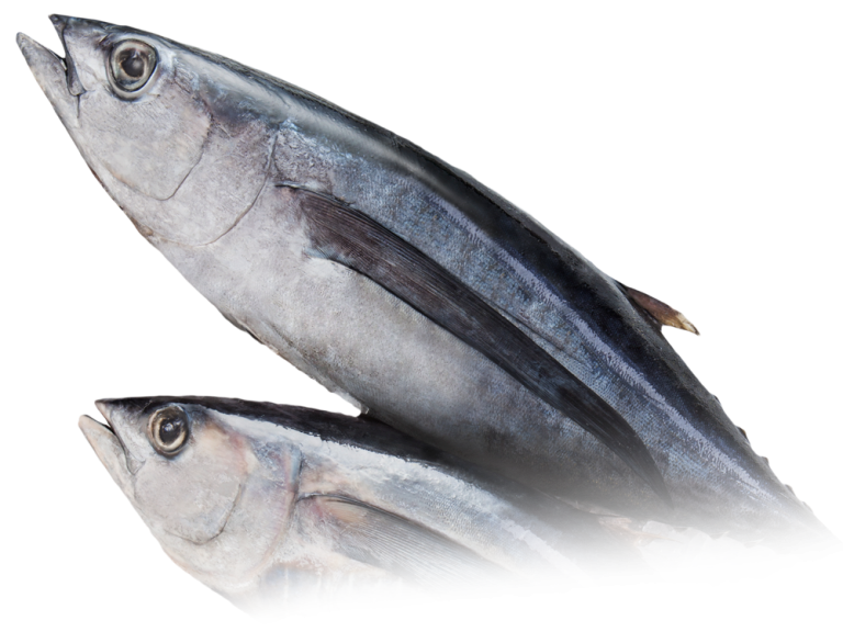 รู้จักซี แวลู - SeaValue